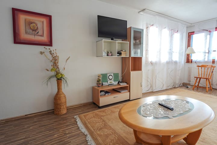 Erholung & Sport In Ernen - Ferienwohnung B47 - Alpe Devero