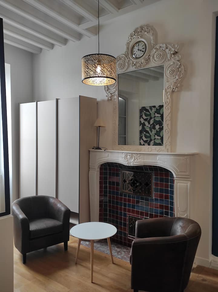 Studio Bord De Loire - Blois
