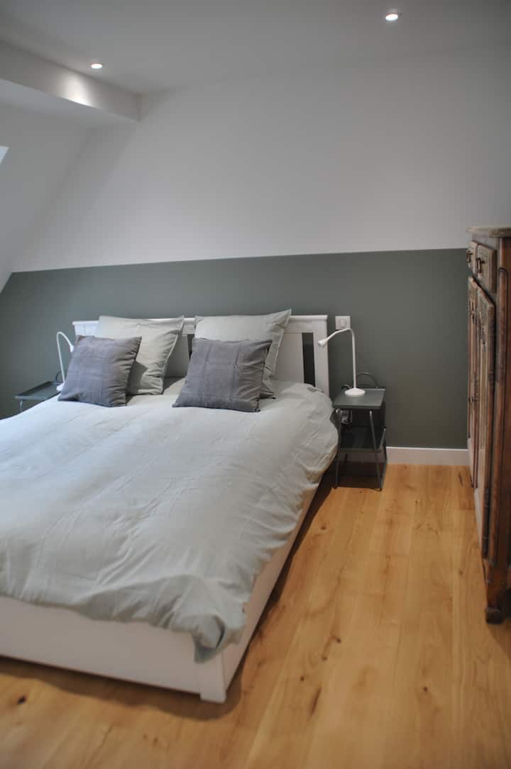 T3 De Charme, Sauna Privé, Unique Et Prox. Centre - Strassburg