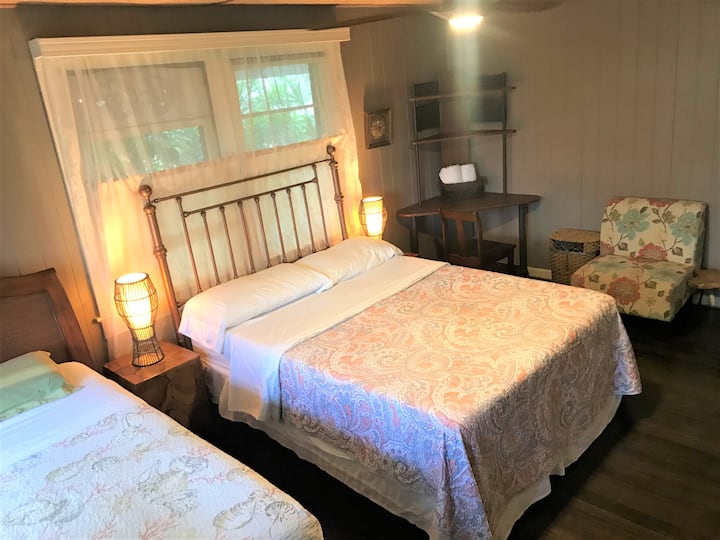 Deluxe Double Room /Wi-fi/netflix/fridge - Hilo, HI