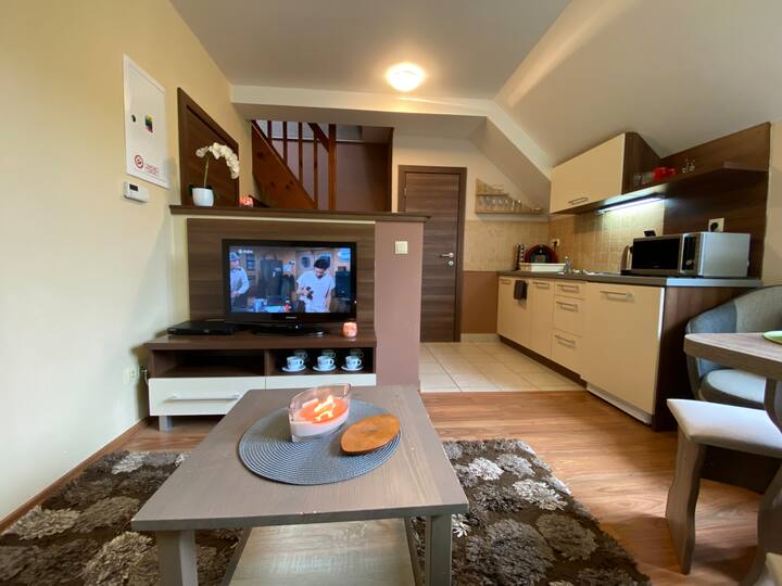 Apartman Tulanie 58 Kamzik Donovaly Garaz Zdarma - Donovaly