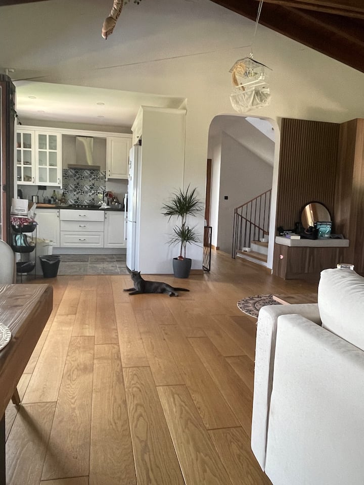 A Dream House With Forest View - Şile