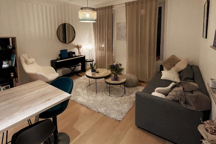 Appartement Au Cœur De Lyon - Lione