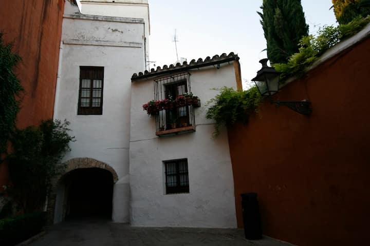 Casa Histórica De La Ciudad Junto Al Alcázar - Sevilla