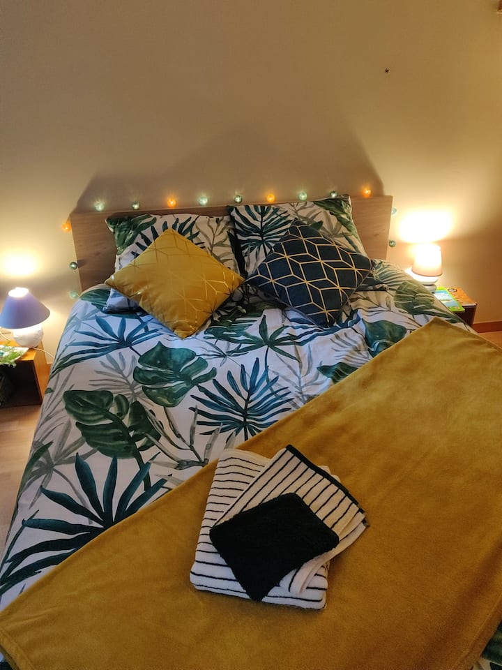 Chambre Dans Appartement. Proximité Gr5 Et Gtj - Morteau