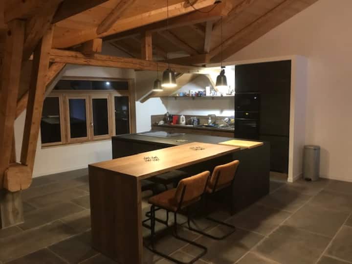 Loft Proche La Plagne - 法國