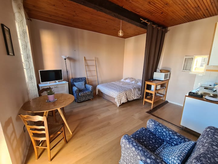 Studio Lumineux - Clim - Hyper Centre - R+2 - Albi