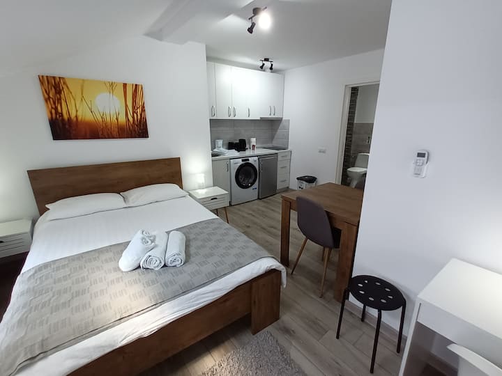 Old Town Studio 2 Apartment Nr 3 - Baia Mare