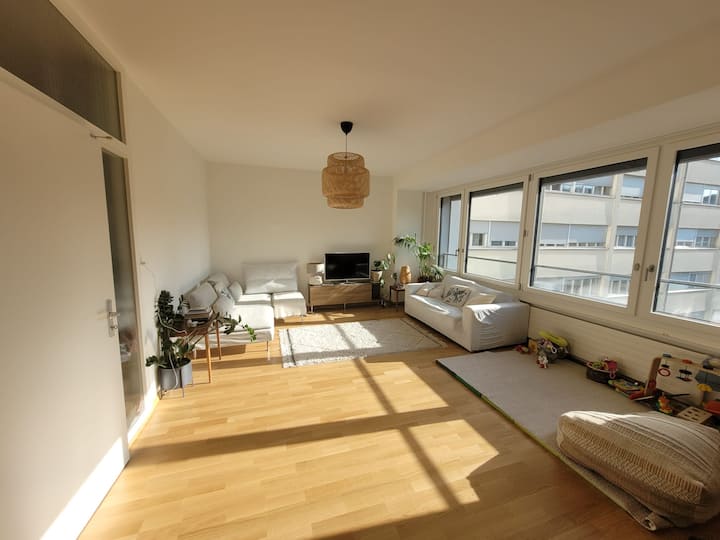 Cosy And Spacious Flat In Geneva - Cenevre, İsviçre