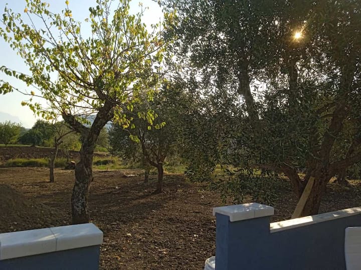 Casa Vacanza Da Giacomo E Chiara - Contursi Terme