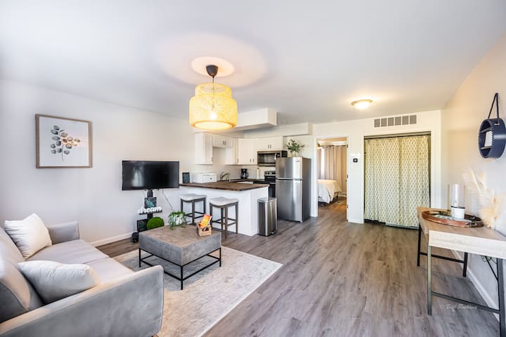 Serenity Suite Downtown Oasis #1 - Evansville, IN
