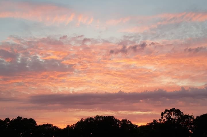 Basic Rural Accommodation - Honiton