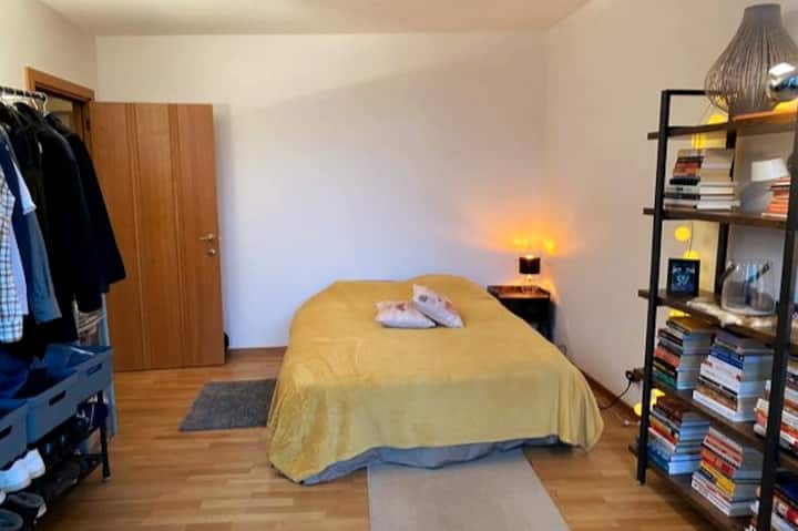Large, Authentic Apartment In The Heart Of Leuven! - Leuven