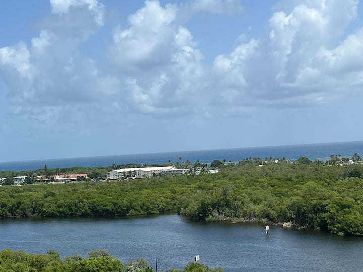 Ocean View With Lots To Do! - Boynton Beach, FL