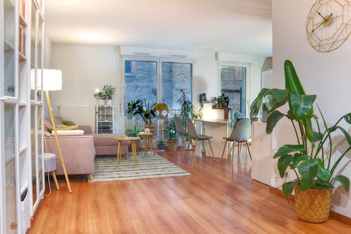 Cosy Flat In Schilick - Schiltigheim