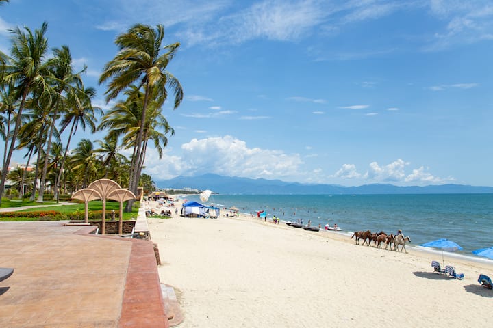 Casa Las Palmeras - Nuevo Vallarta