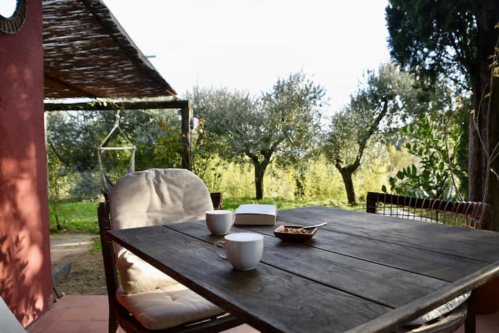 A Cozy Country Cottage On The Hills Of Orvieto - Italien