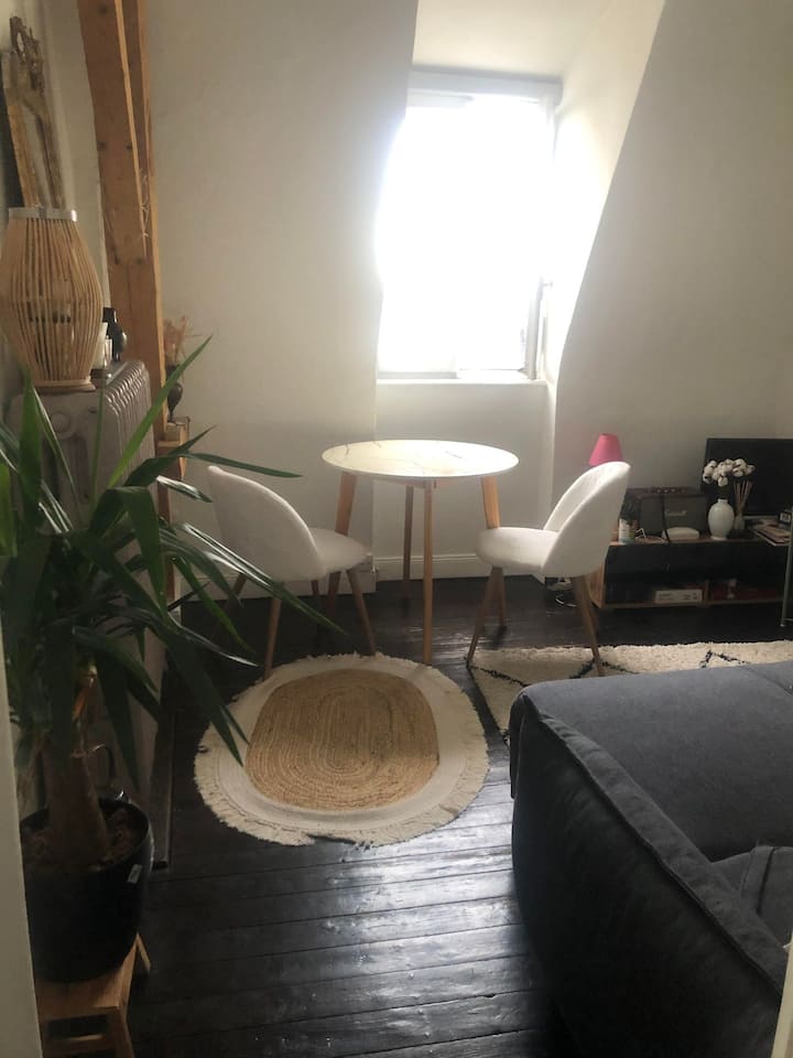Charmante Wohnung, Nahe Zentrum - Strasbourg