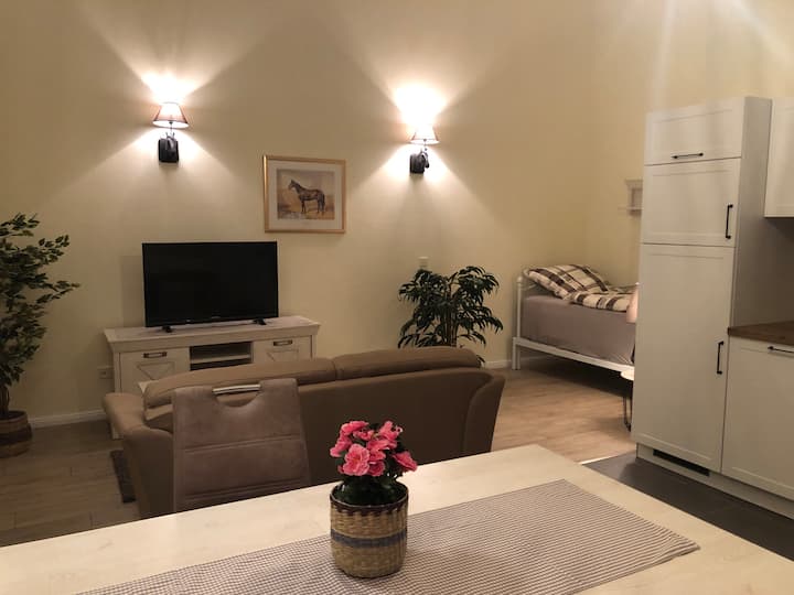 Hochwertiges Wellnessapartment Mit Küche+2 Bädern - Bad Hersfeld