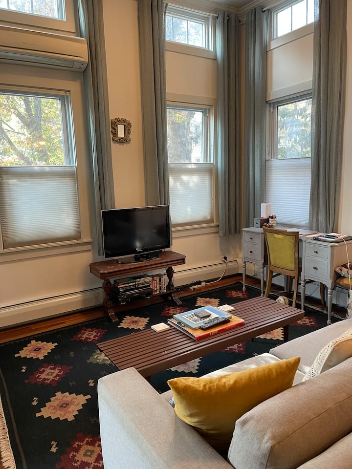 Cozy One-bedroom In East Rock - New Haven, CT
