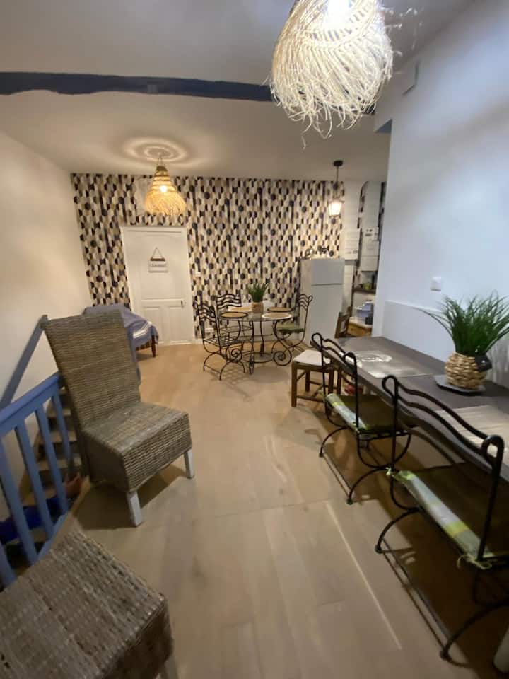 La Maison Du Docteur Privey -Park Bike- Voie Bleue - Tournus