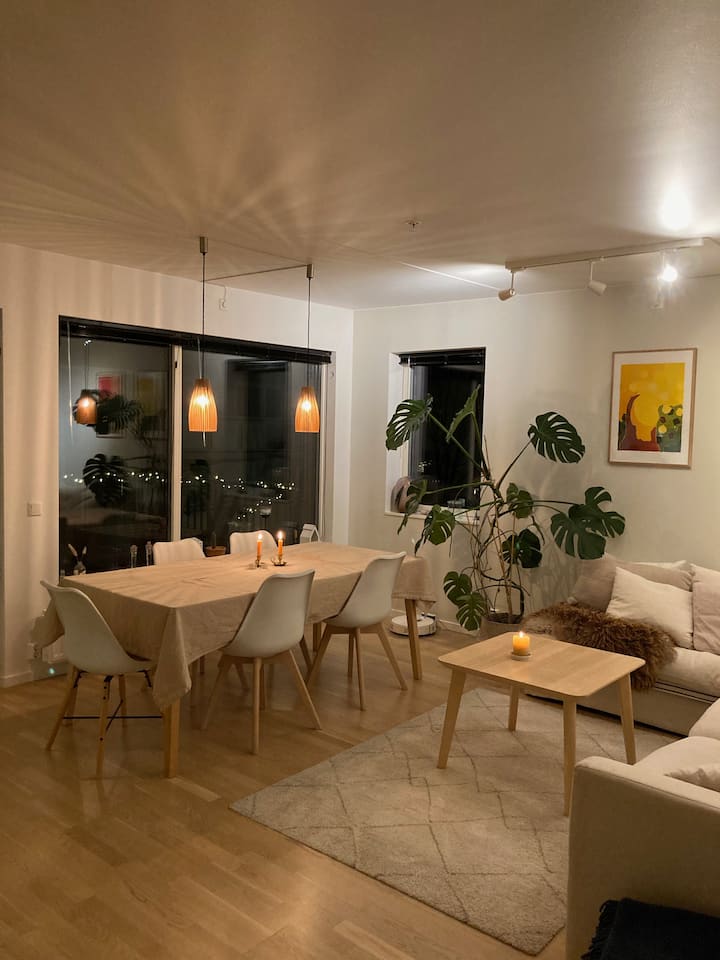 Koselig, Romslig Og Sentralt! - Oslo