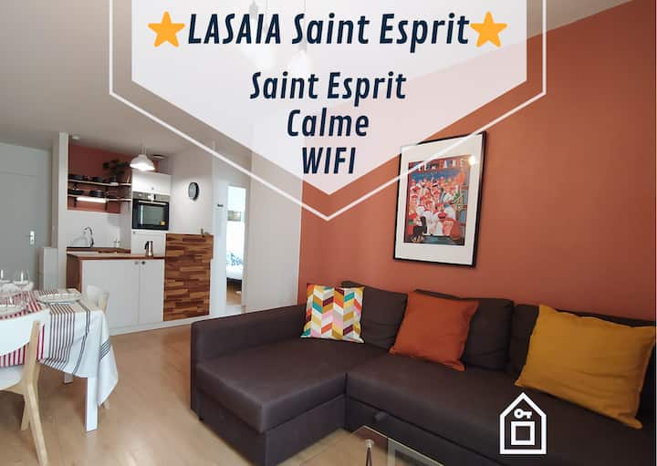 Lasaia St Esprit T3 Proche De L'adour - Bayonne