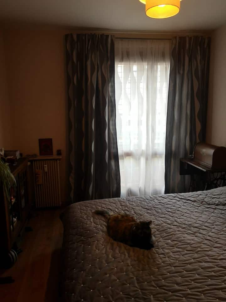 Chambre D'hôtes - Strassburg