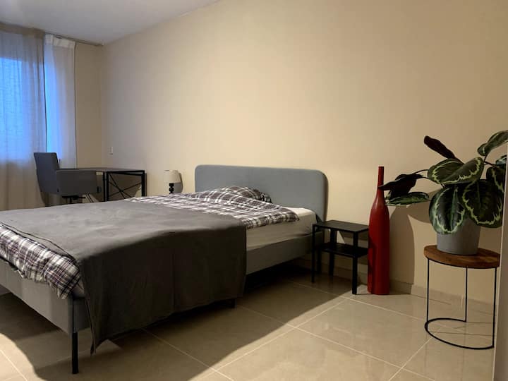 Narwal Room Noord - Zaandam