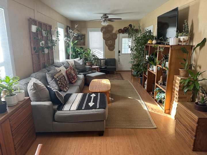 Simple, Comfy Room Near Downtown – Great Price! - Springfield, MO