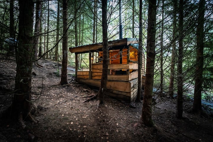 Hedgehog's Hideaway - Aberfoyle