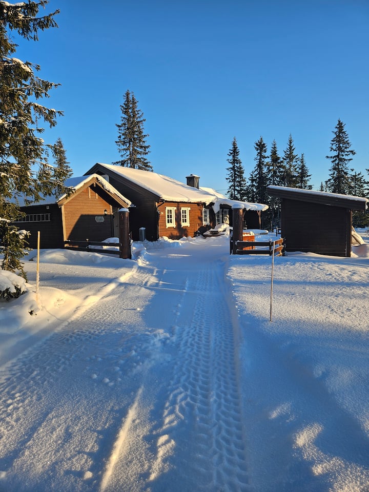 Hytte I Ringsaker (Ljøsheim/sjusjøen) - Noorwegen
