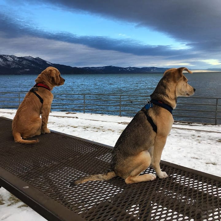 Apartment In South Lake Tahoe - South Lake Tahoe, CA