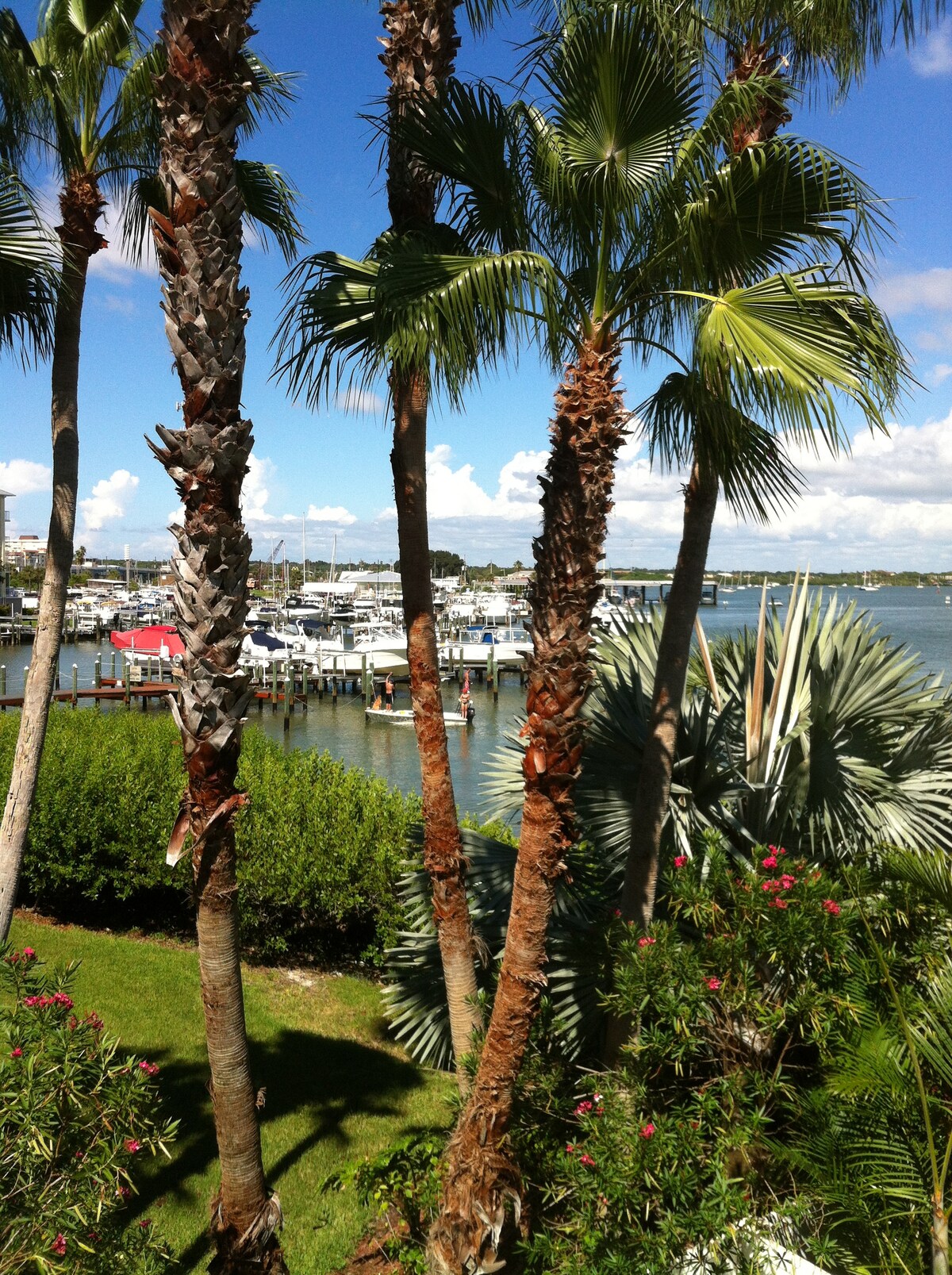 Harborview Oasis: 3BR Home Amidst Rustling Palms - Houses for Rent in ...