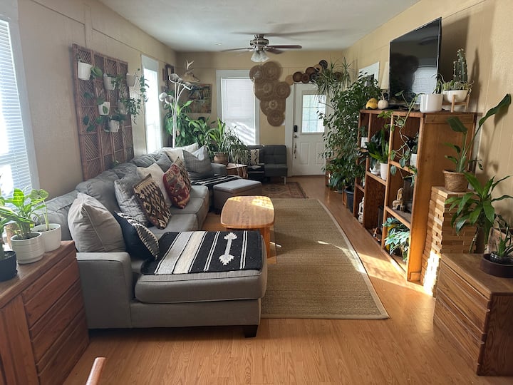 Simple Stay, Friendly Host – Great Price! - Springfield, MO