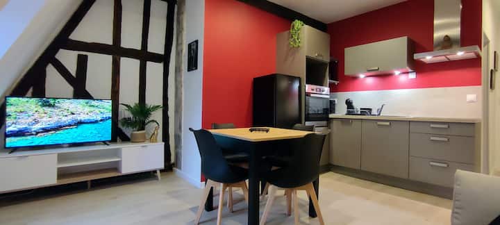202 Duplex, 2 Chambres Séparées Cœur Centre-ville - Bourges