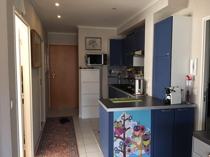 Appartement Meublé Cosy Et Calme - Alfortville