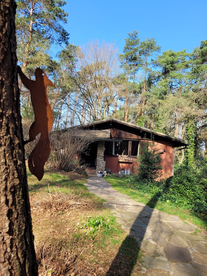 Vakantiewoning-hond Welkom-infraroodsauna-rust! - Zoersel