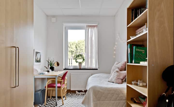 Dormitory In Lund 2 - Lund