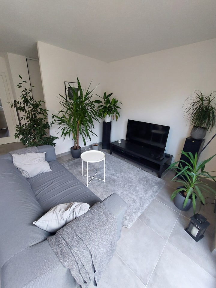 Appartement Fegersheim - Lipsheim