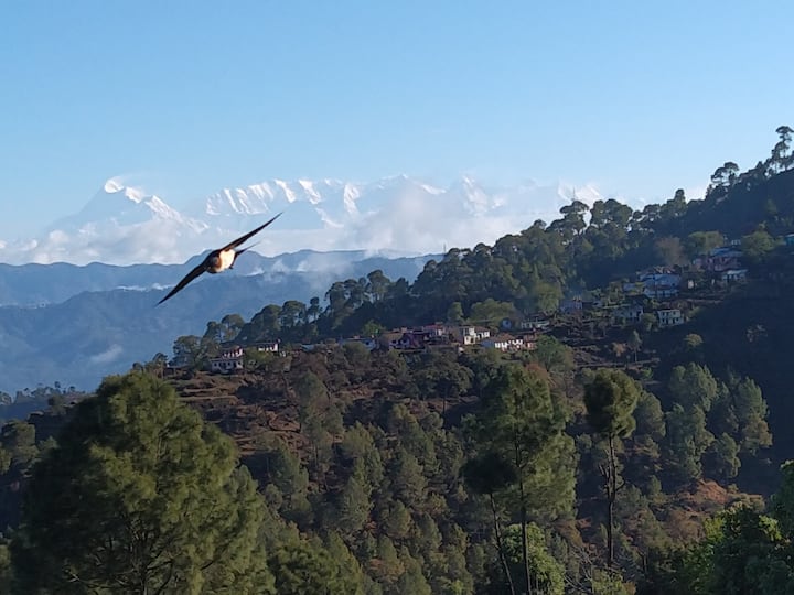 Himalaya View -2 - Ranikhet