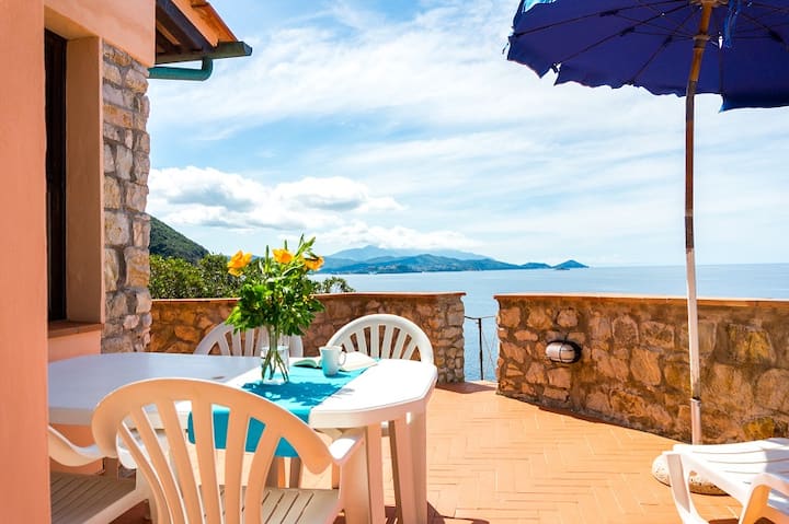 Cota Quinta - Bilo Deluxe - Piombino