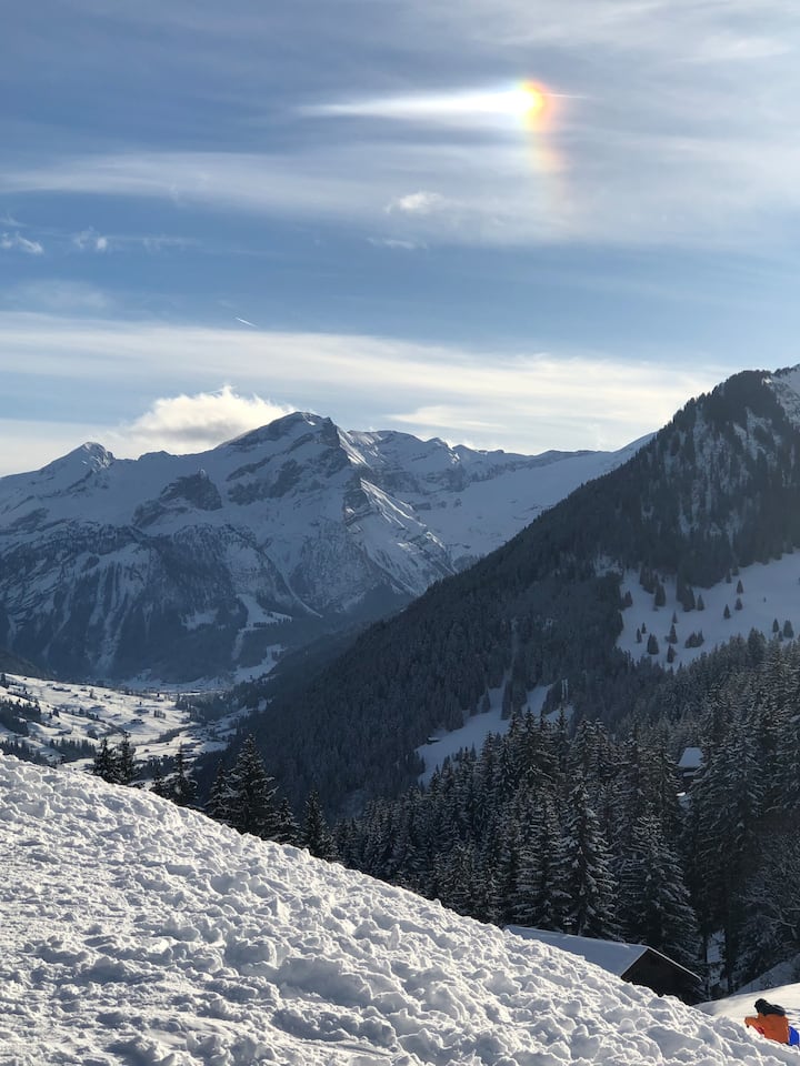 Cosy Ski-in/ski Out In Gstaad - Saanenmöser