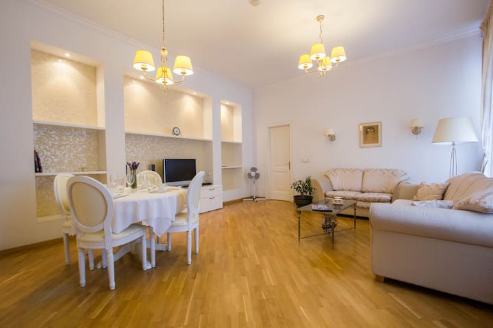 Historic Central Apartment - Vilnius