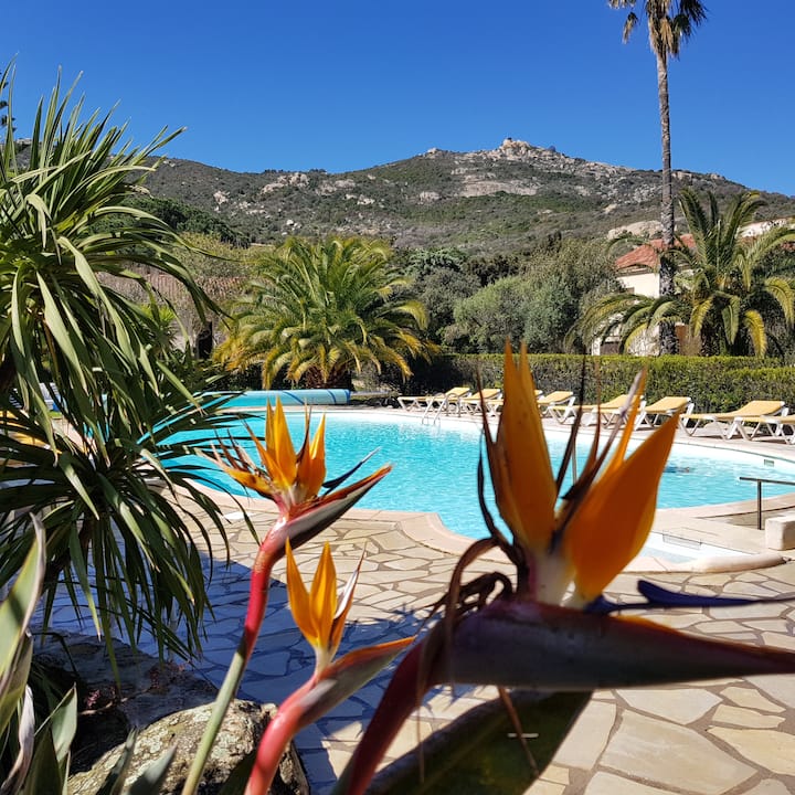 Résidence Casa Oleanda Altea N°2 - Calvi