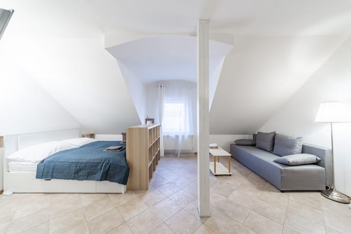 Nice Flat In The City Center. #1 - Praga
