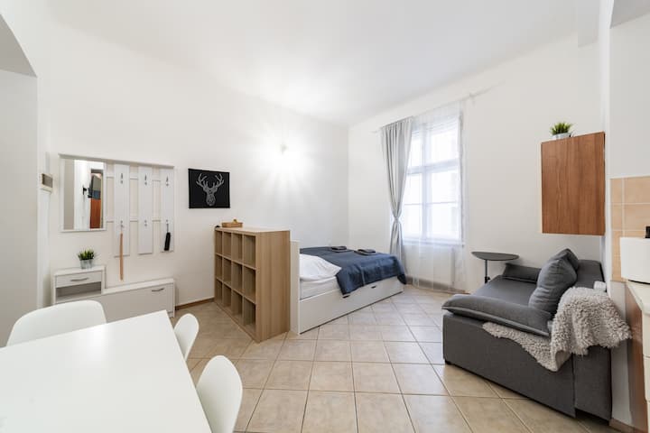 Nice Flat In The City Center. - Prague