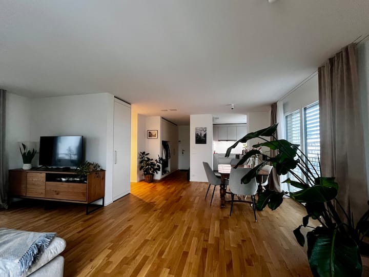 Spacious, Cozy Apartment - Zürich
