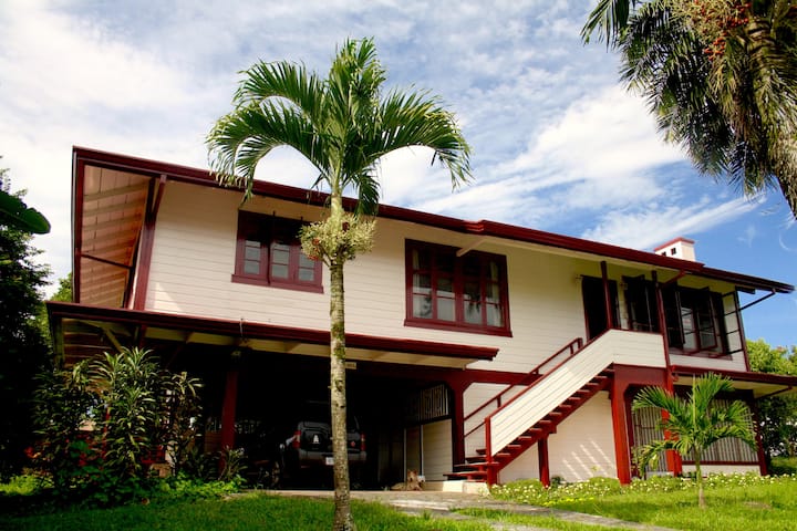 Hulera #3
History & Arts Home - Jiménez