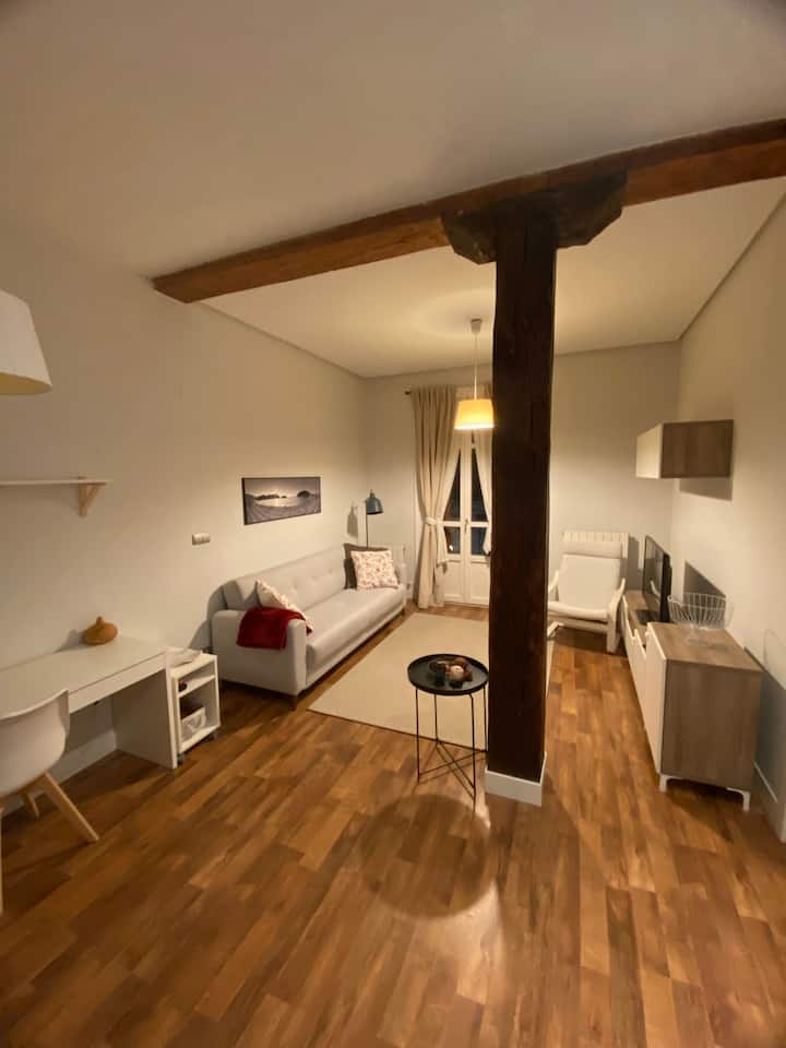 Elegancia En Bailén, A Pasos De Lo Mejor De Bilba - ビルバオ